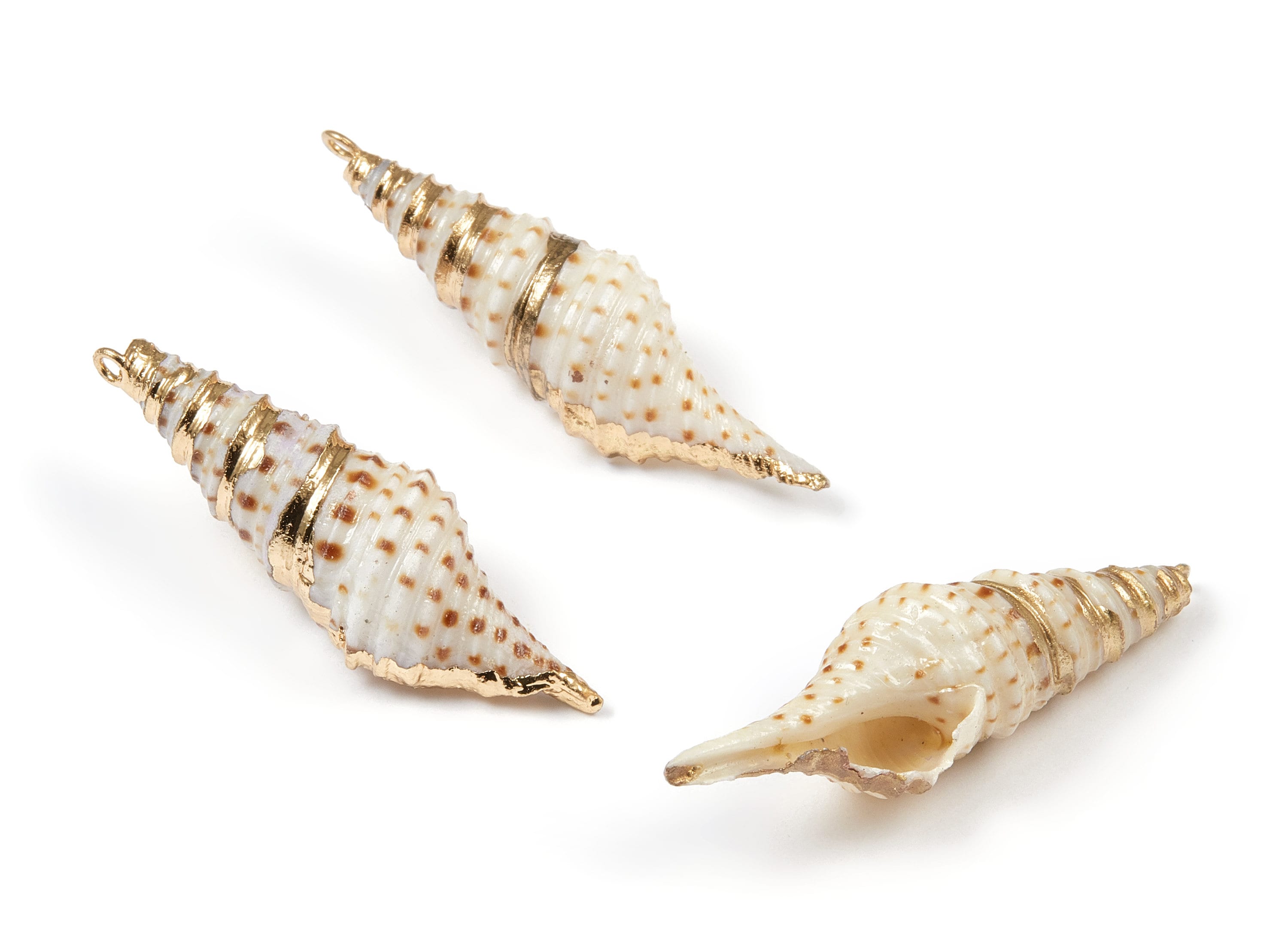 Turritella Terebra Shell Charms - Turritella Terebra Seashell Pendant ...