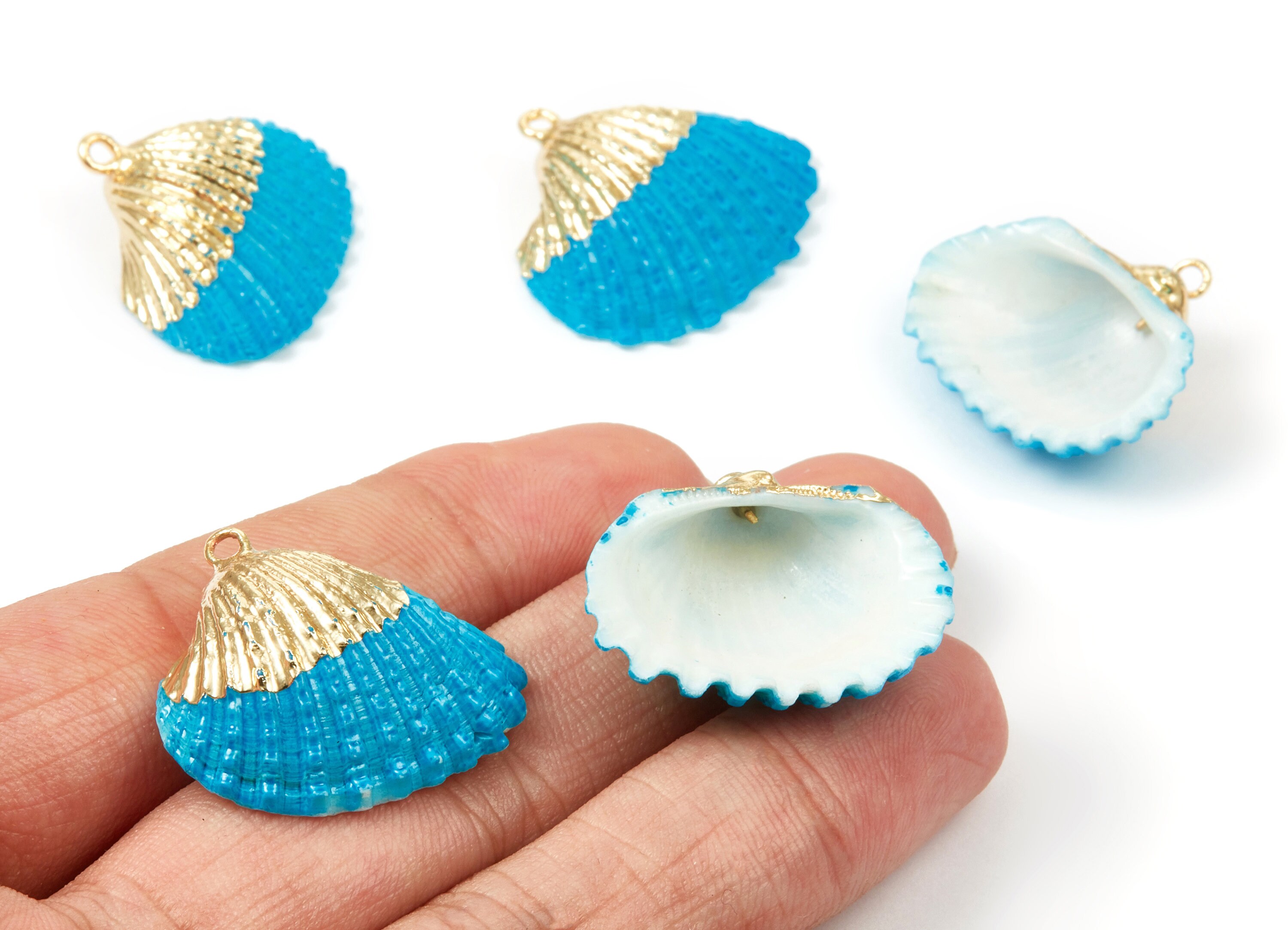 Mussel Shell Charms - Seashell Earrings and Pendant - Gold Tone Plated ...