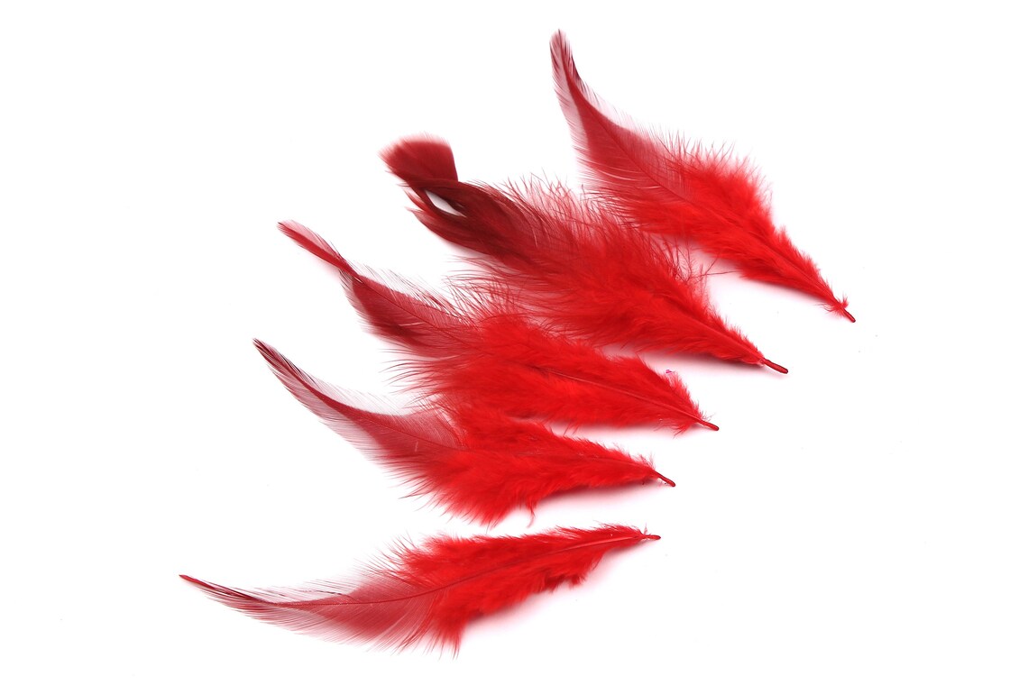 Fluffy Rooster Feather Red Plumage 12-15cm Real | Etsy