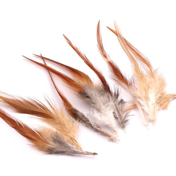 Rooster Feather - Etsy