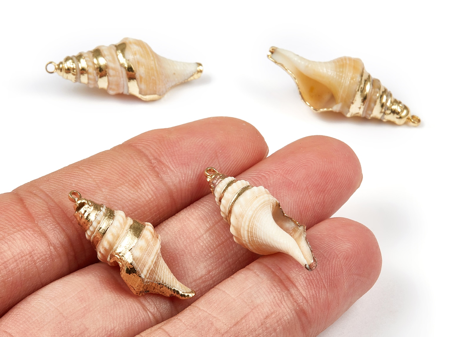 Whelk Seashell Charms Whelk Shell Pendant Natural Seashell - Etsy