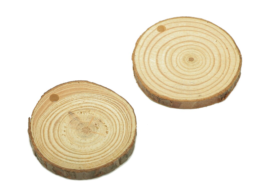 Pine Wood Slices Discs Earrings - Circles Natural Wood Bark Charm ...