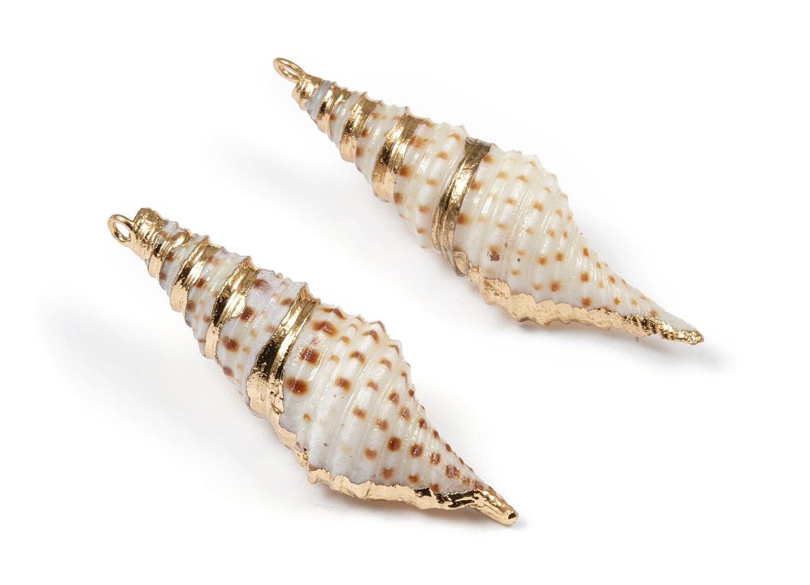 Turritella Terebra Shell Charms - Turritella Terebra Seashell Pendant ...