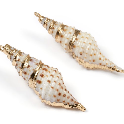 Turritella Terebra Shell Charms Turritella Terebra Seashell - Etsy