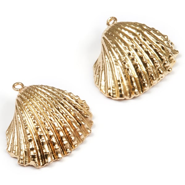 Seashell Earrings - Etsy