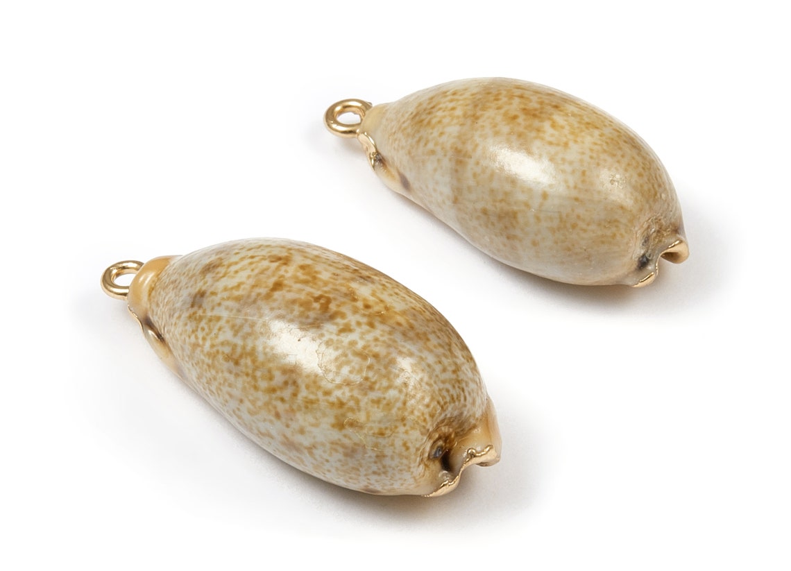 Cowrie Seashell Charms Mussel Shell Earrings and Pendant | Etsy