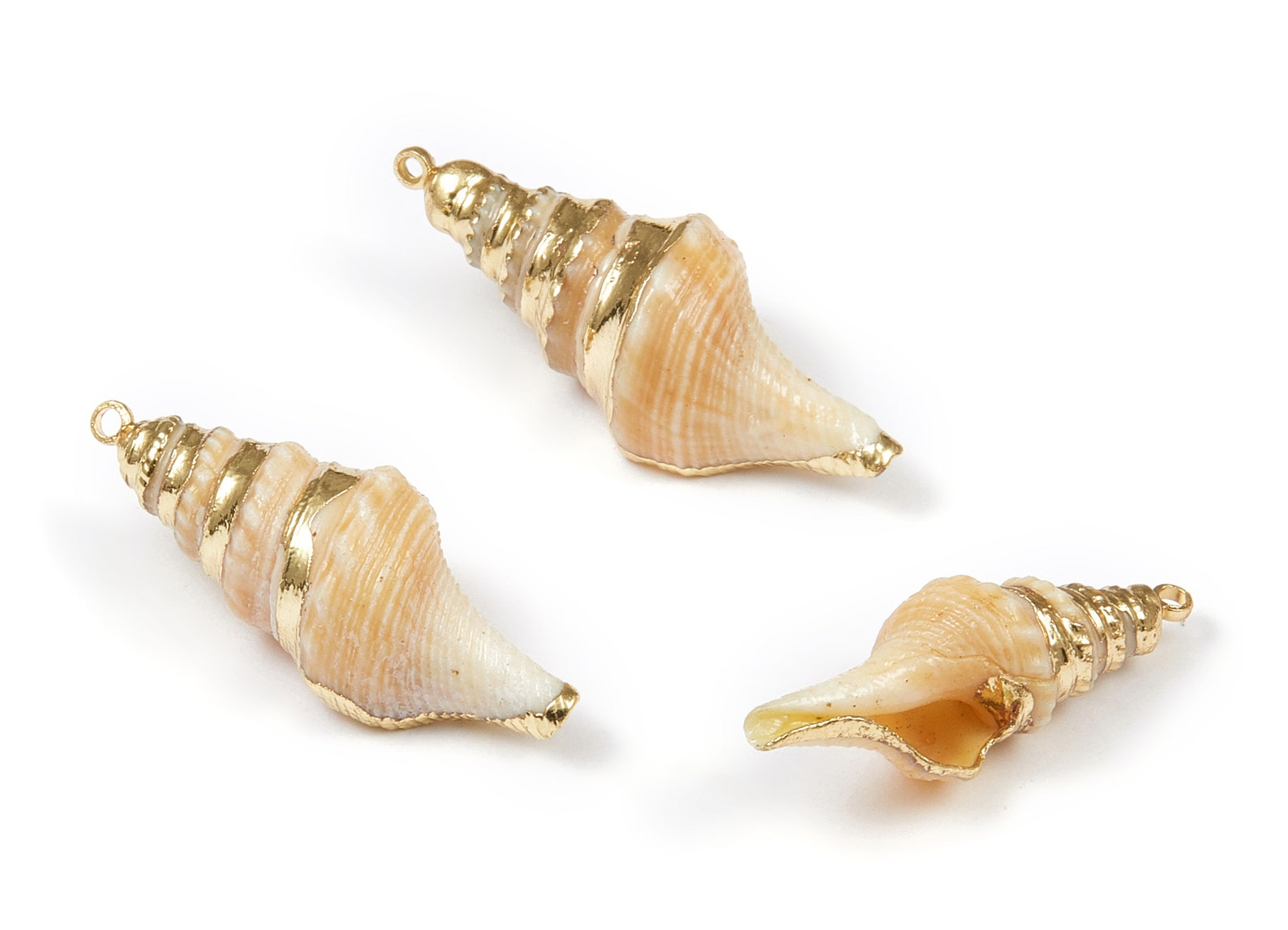 Whelk Seashell Charms Whelk Shell Pendant Natural Seashell | Etsy