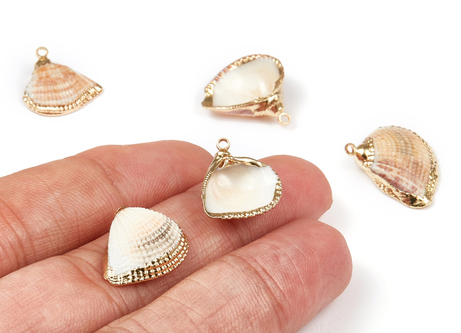 Mussel Shell Charms - Seashell Earrings and Pendant - Gold Tone Plated ...