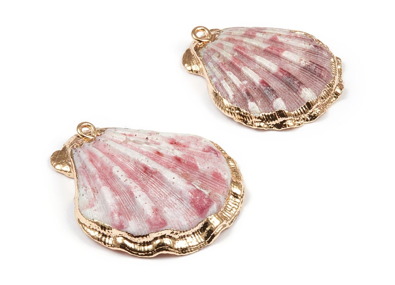 Mussel Shell Charms Seashell Earrings and Pendant Gold - Etsy