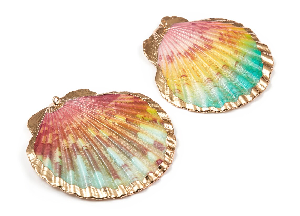 Mussel Shell Charms Seashell Earrings and Pendant Gold | Etsy