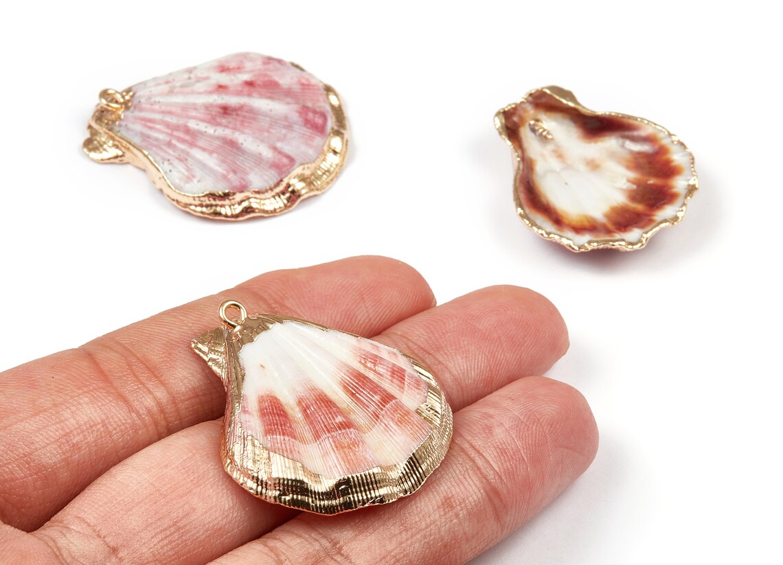 Mussel Shell Charms Seashell Earrings and Pendant Gold - Etsy