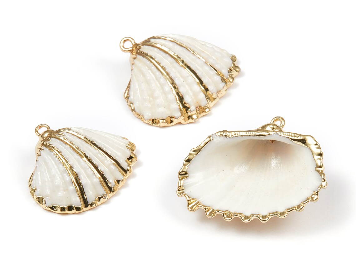 Mussel Shell Charms - Seashell Earrings and Pendant - Gold Tone Plated ...