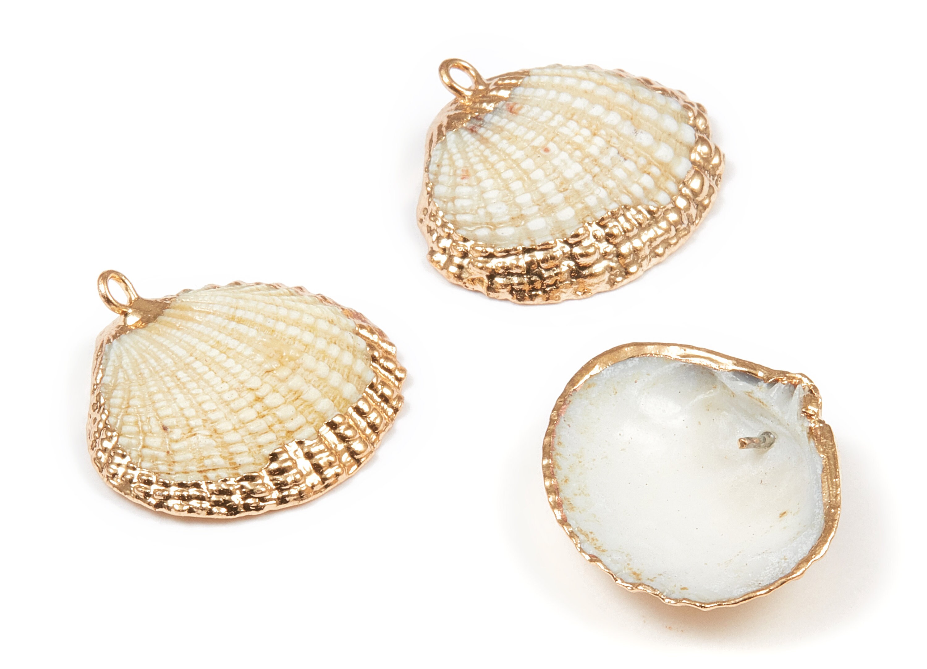 Mussel Shell Charms Seashell Earrings and Pendant Gold | Etsy