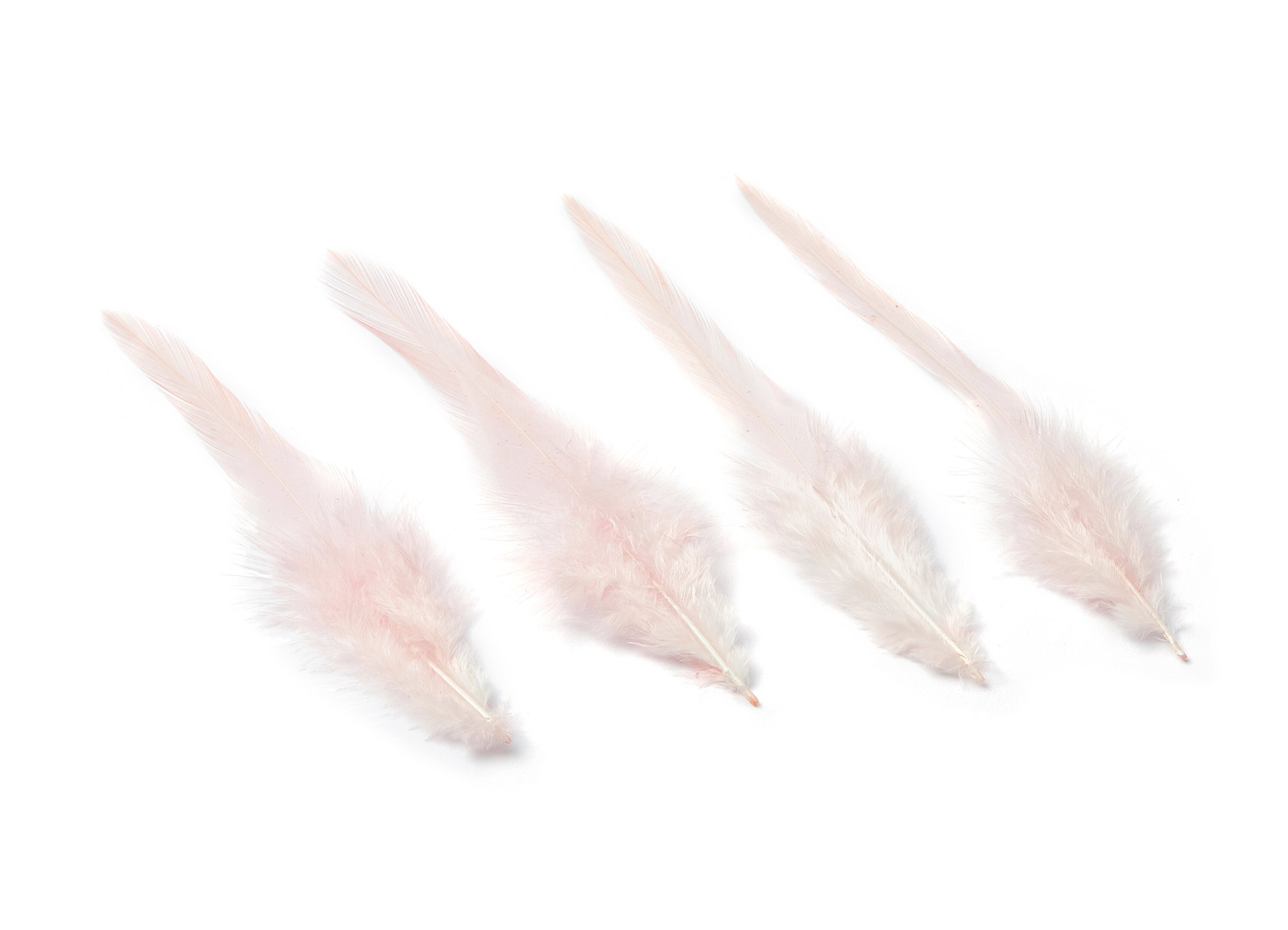 Cock Feather - Light Pink Feather - (12-15 Cm) - Real Feathers for ...