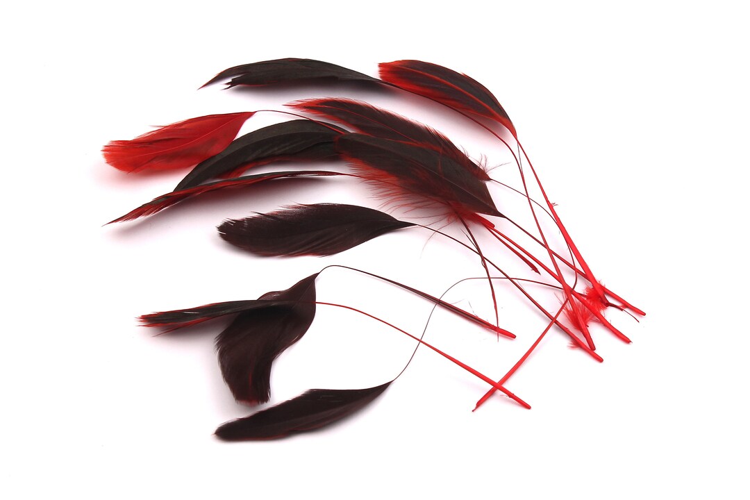 Stripped Rooster Feather - Red Plumage - (12-17cm) - Real Feathers for ...