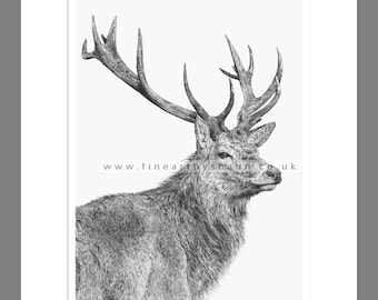The Seeker - Blue Stag Deer Watercolour Painting - A3 Archival Limited ...