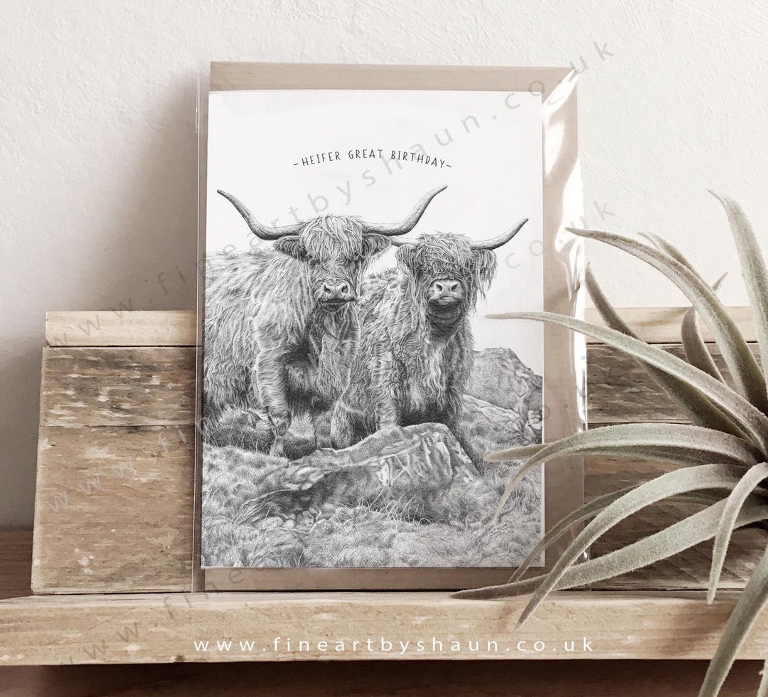 Highland Cattle Birthday Greeting Card - Etsy UK
