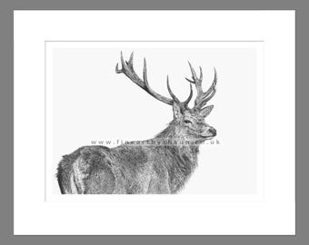 The Seeker - Blue Stag Deer Watercolour Painting - A3 Archival Limited ...