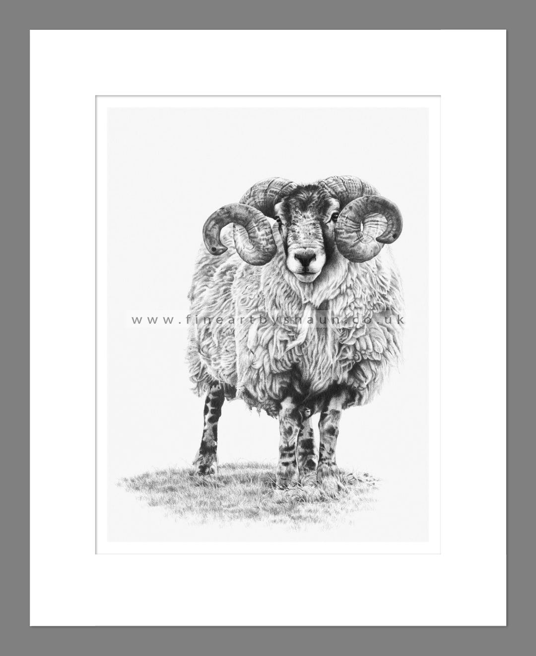 Ram Art Print Giclee Limited Edition - Etsy