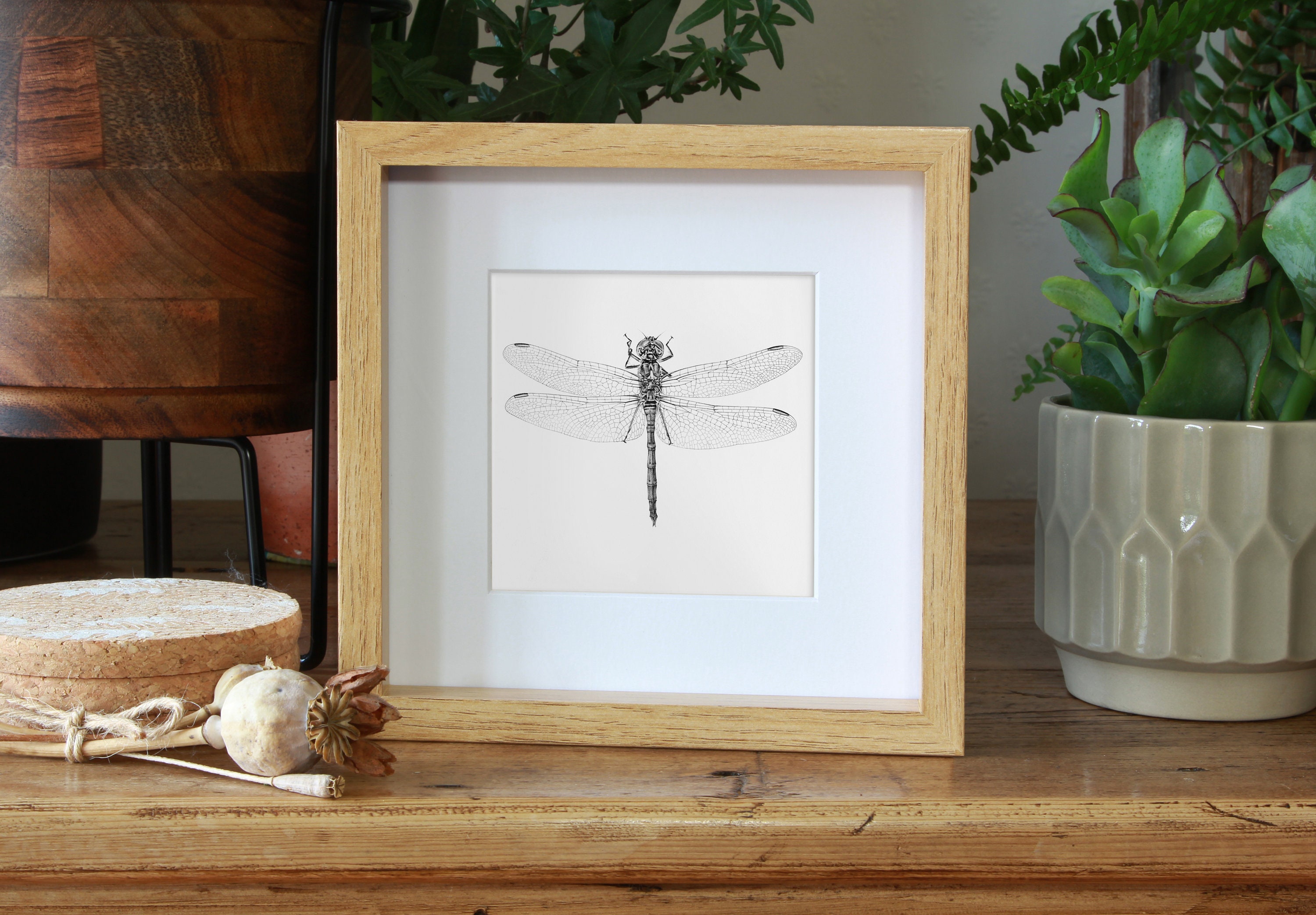 Dragonfly Birthday Greeting Card | Etsy