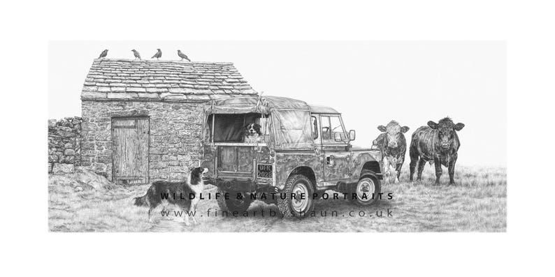 Land Rover Defender Collies Art Print Giclee Limited Edition - Etsy