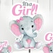 Peanut Elephant Centrepiece for Baby Girl Shower in Pink & Gray PDF and ...