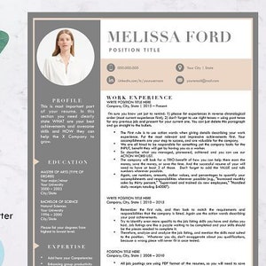 Modern Resume Template With Pictures, Gray Blush Clean Resume,resume in ...