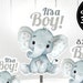Peanut Elephant Centrepiece for Baby Boy Shower in Gray PNG - 3 Sizes ...