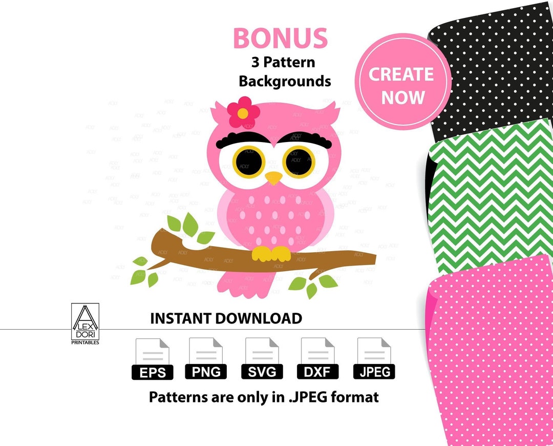 Cute Girl Owl Clip Art, Owl With Flower Clip, SVG, Vector Pink Owl ...