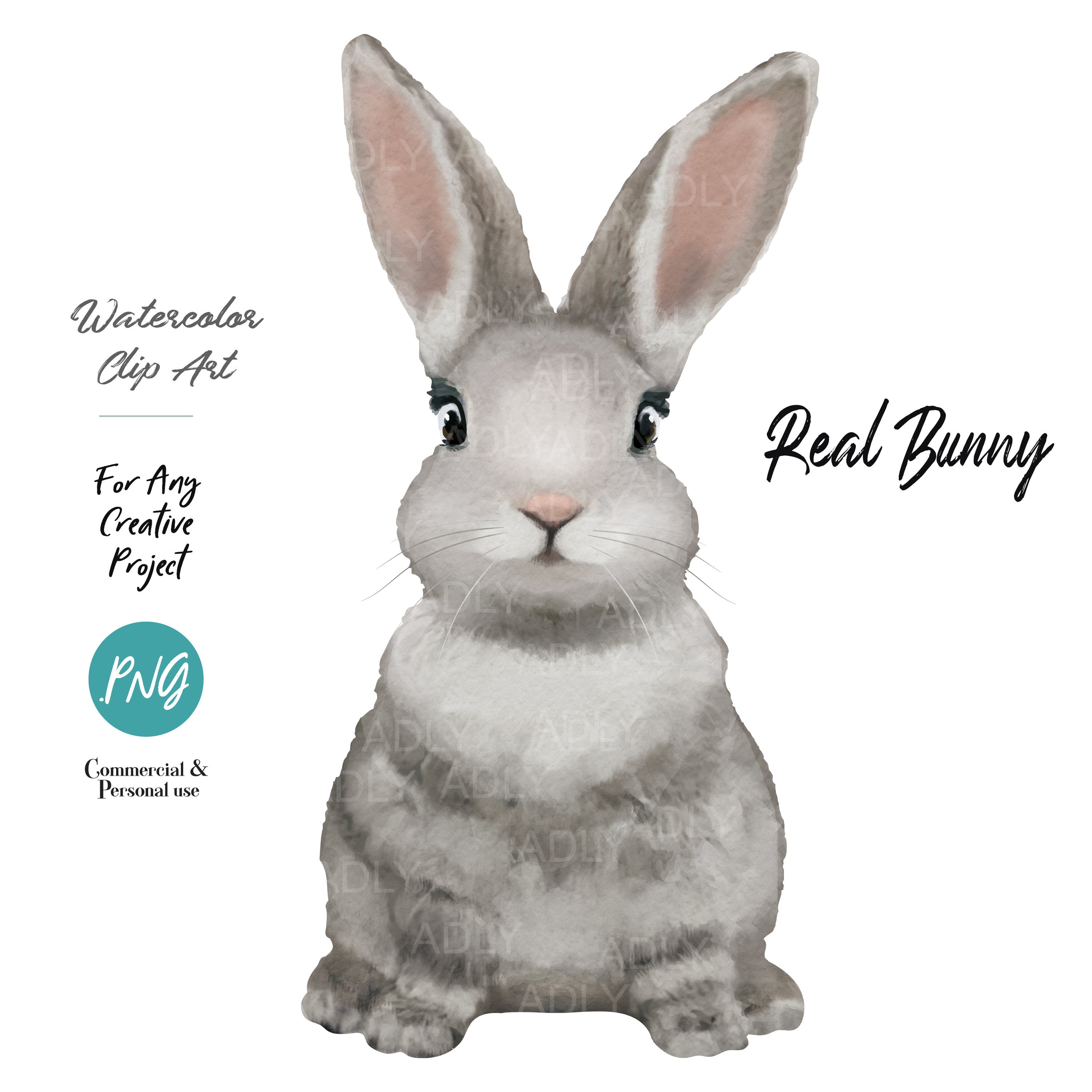 Realistic Watercolor Bunny Rabbit clip art illustration | Etsy
