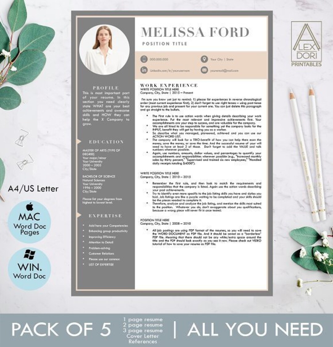 Modern Resume Template With Pictures, Gray Blush Clean Resume,resume in ...