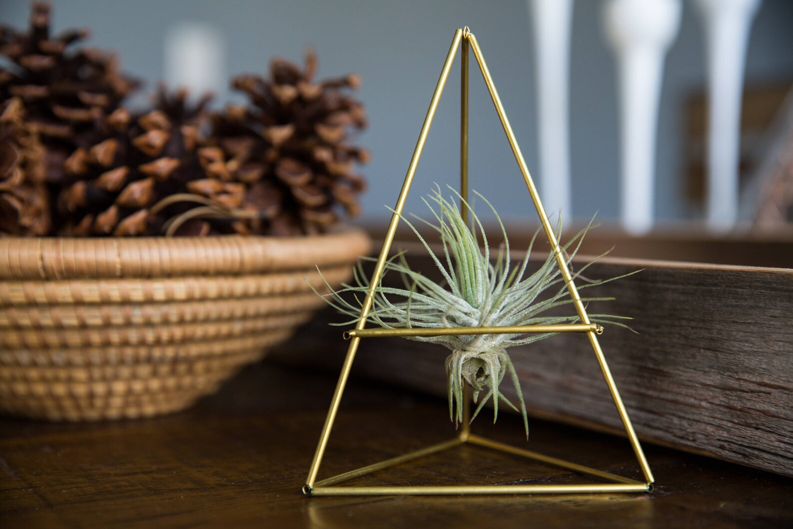 Set of 2 Geometric Modern Industrial Himmeli Table Air Plant | Etsy