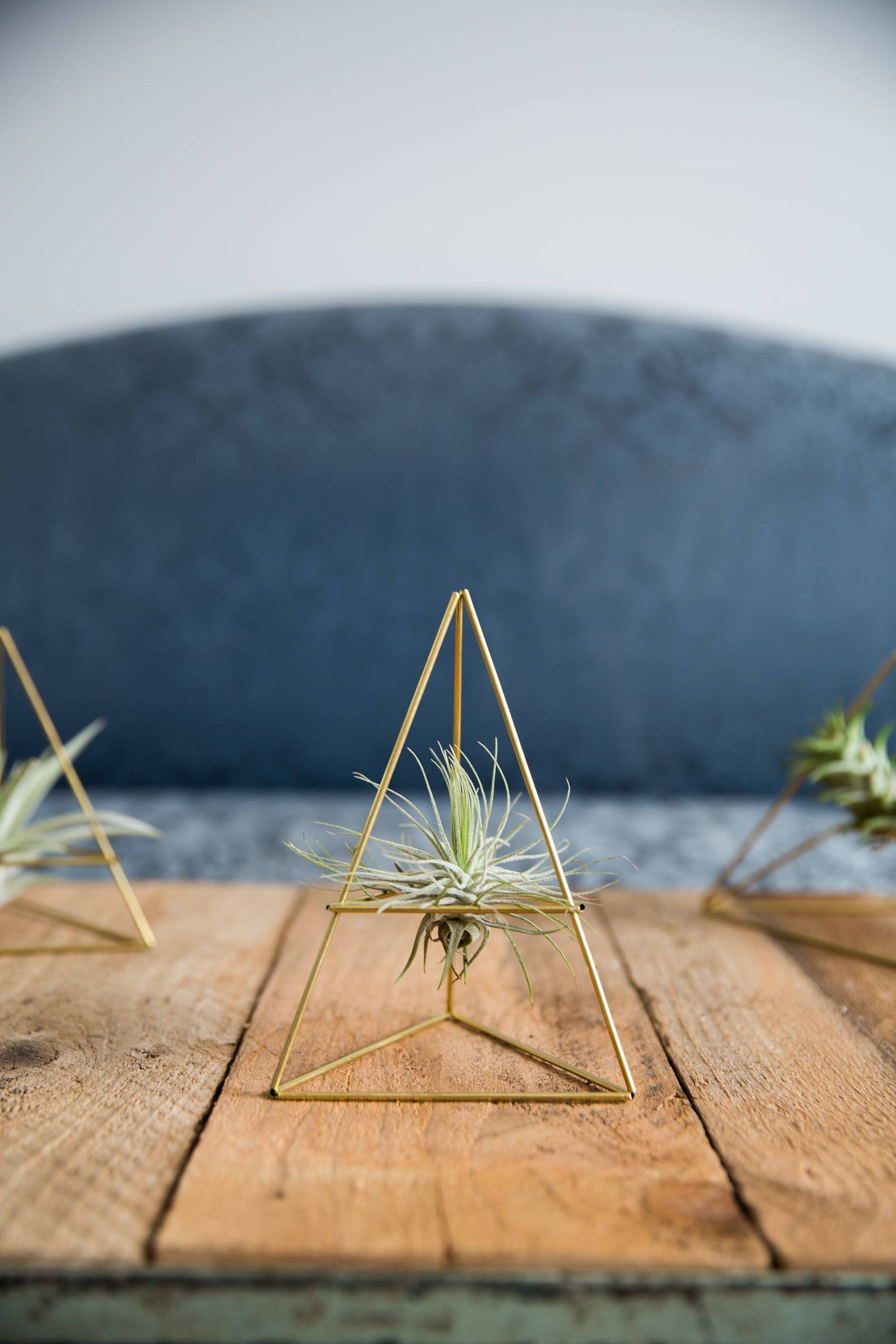 Set of 2 Geometric Modern Industrial Himmeli Table Air Plant | Etsy