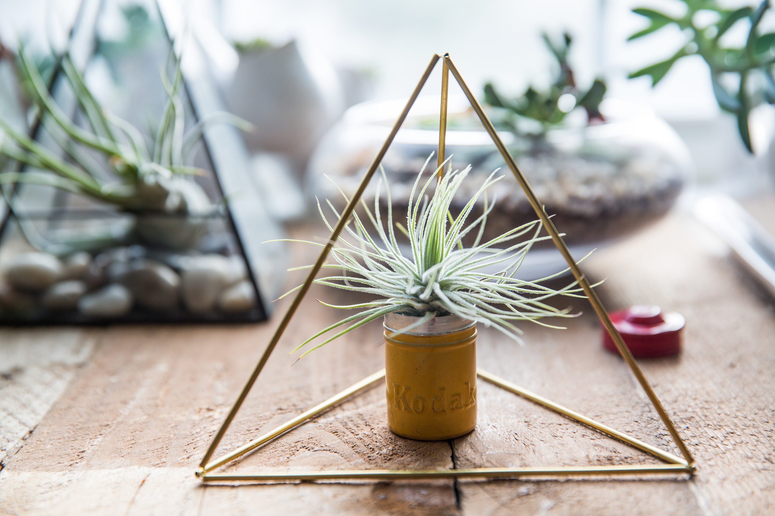 Set of 2 Geometric Modern Industrial Himmeli Pyramid Table Air Plant ...