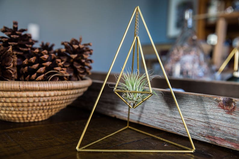 Geometric Modern Industrial Table Hanging Himmeli Air Plant - Etsy