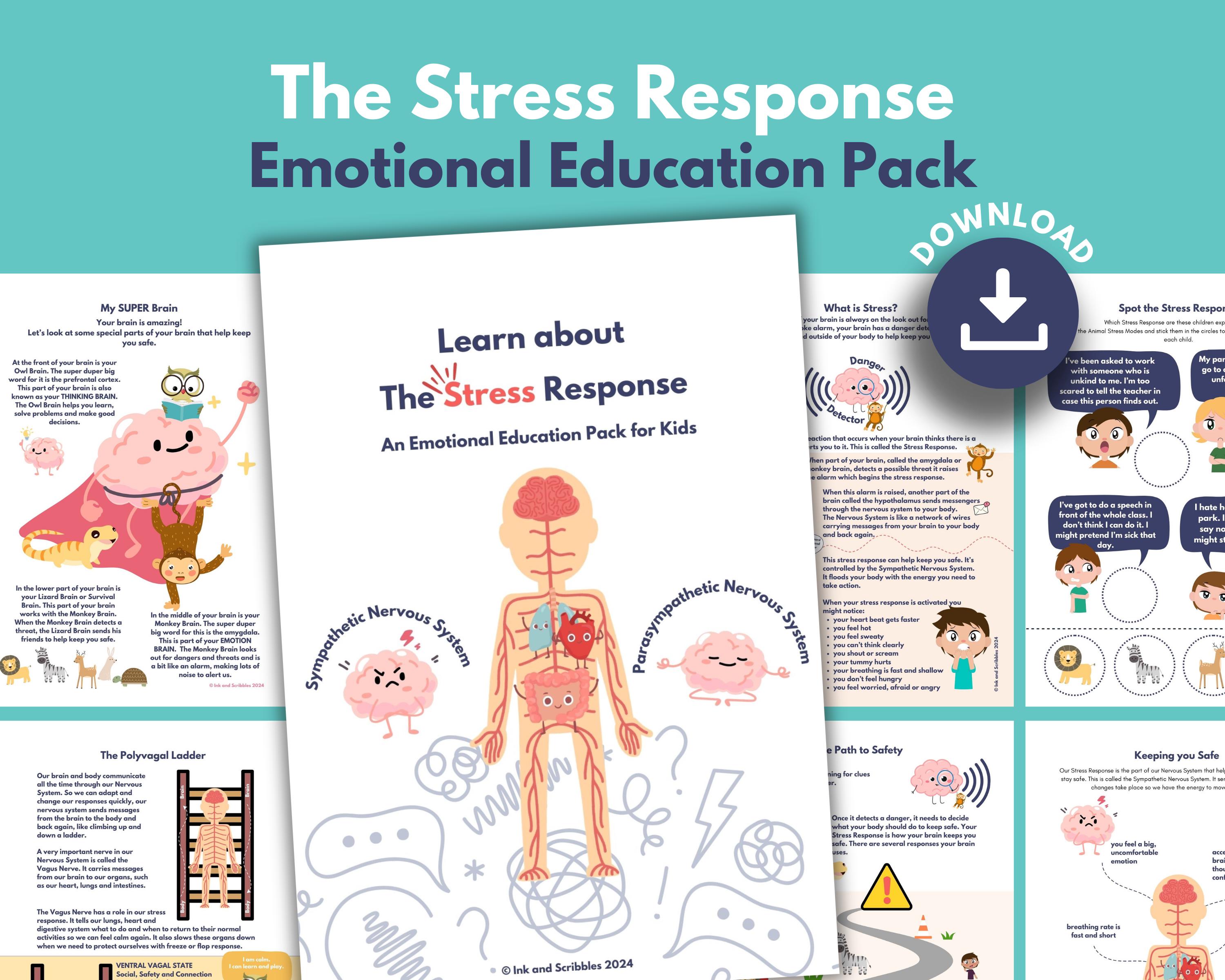 Stress Response Workbook for Kids | Emotional Regulation, Nervous ...
