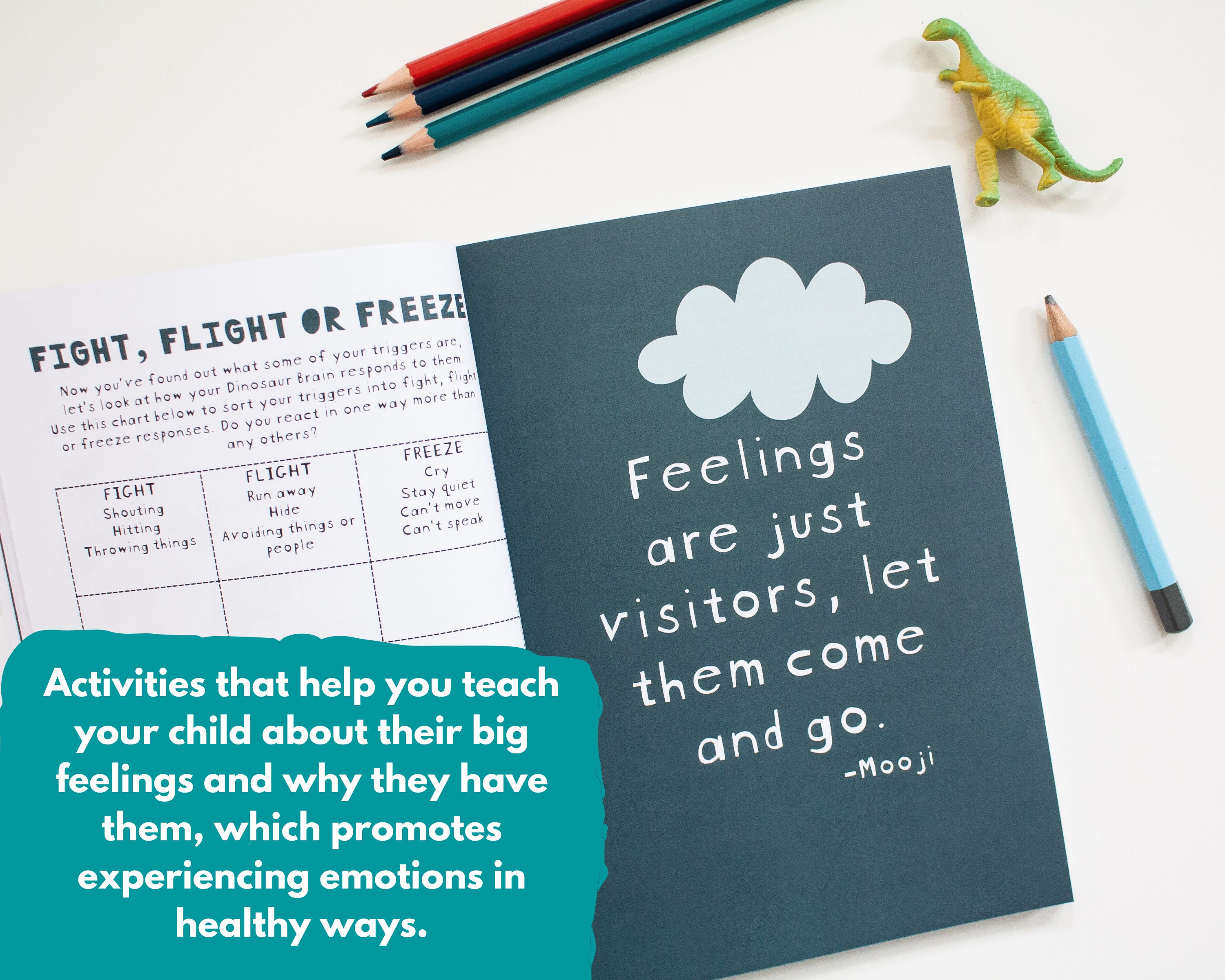 Feelings Journal for Kids Emotional Regulation | Etsy UK