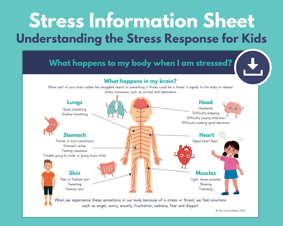 Stress Response Kids PRINTABLE Understand Stress Body - Etsy