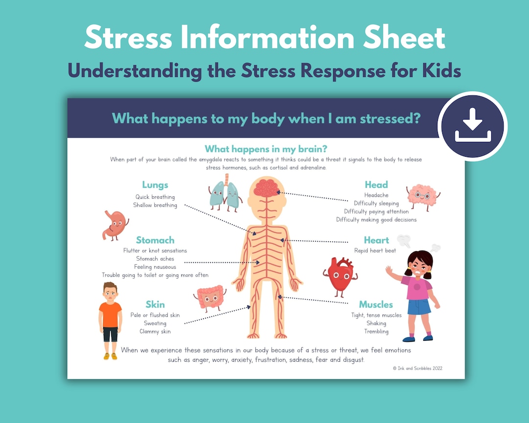 Stress Response Kids PRINTABLE Fight Flight, Understand Stress ...