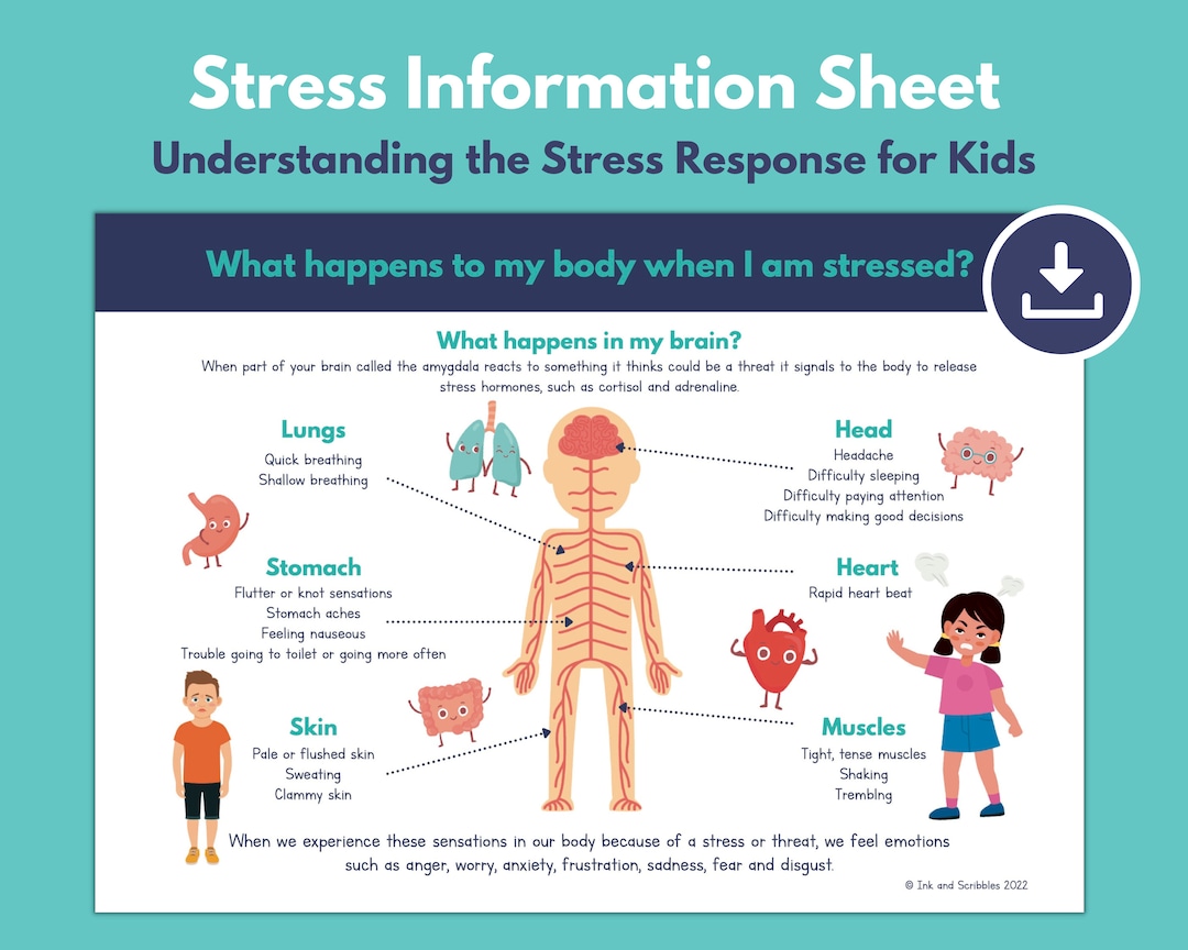Stress Response Kids PRINTABLE Fight Flight Understand - Etsy