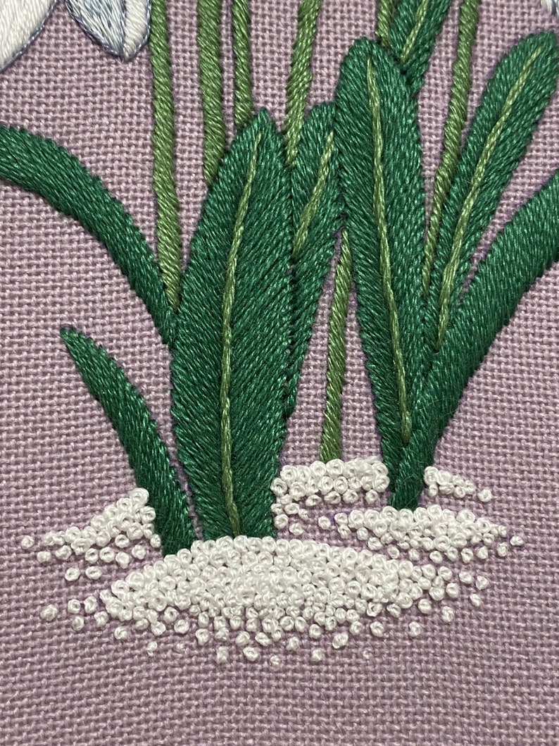 Snowdrops in the Snow Hand Embroidery Pattern Video - Etsy