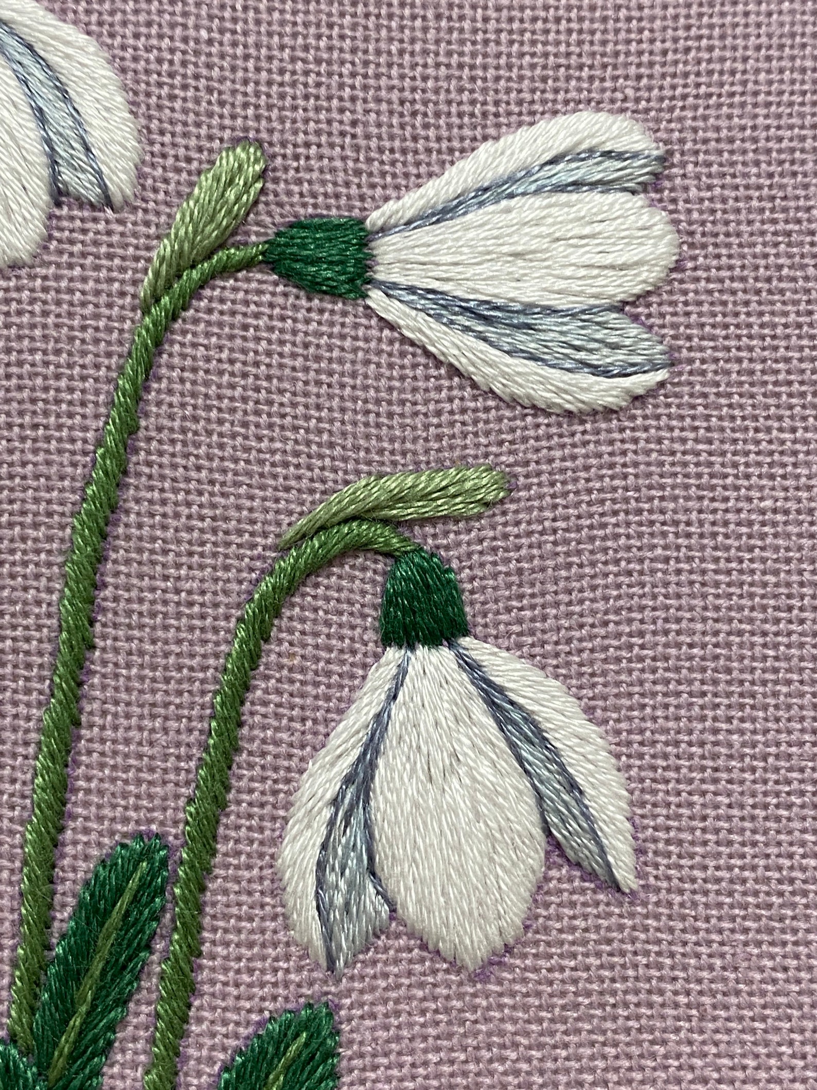 Snowdrops in the Snow Hand Embroidery Pattern Video - Etsy