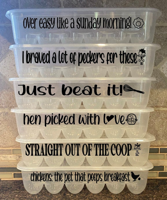 Egg Carton Designs Egg Cartons Sayings Funny Egg Carton Sayings - Etsy