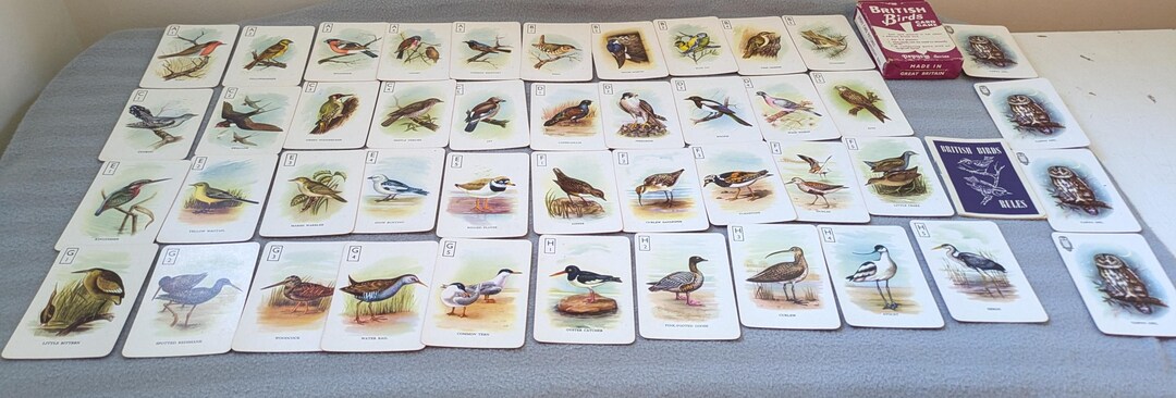 Vintage British Birds Card Game - Etsy