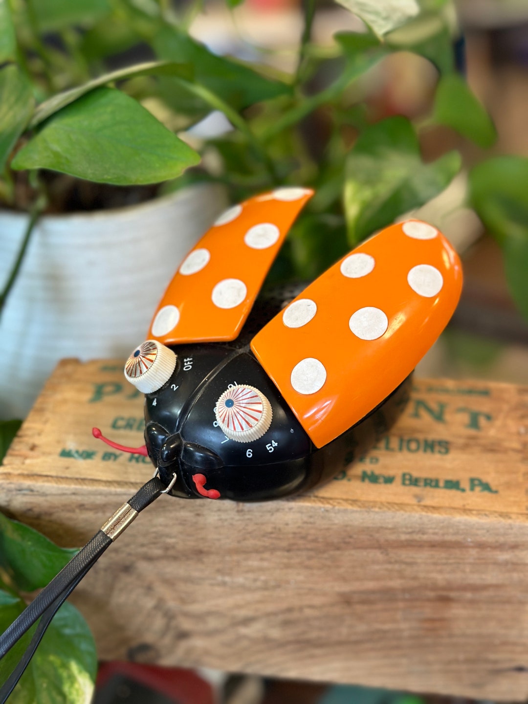 Vintage 1970s Stewart Lady Bug Solid State Working AM Transistor Radio ...