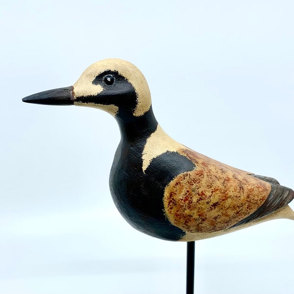 Ruddy Turnstone Art - Etsy