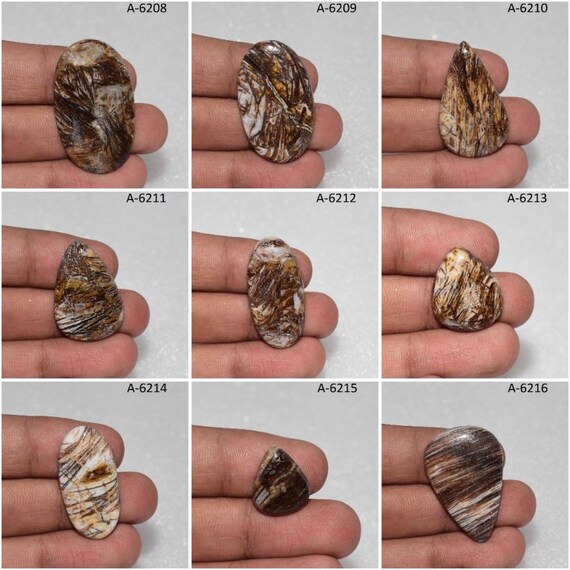 Outstanding Fossilized Foraminifera Feather Agate Cabochon | Etsy