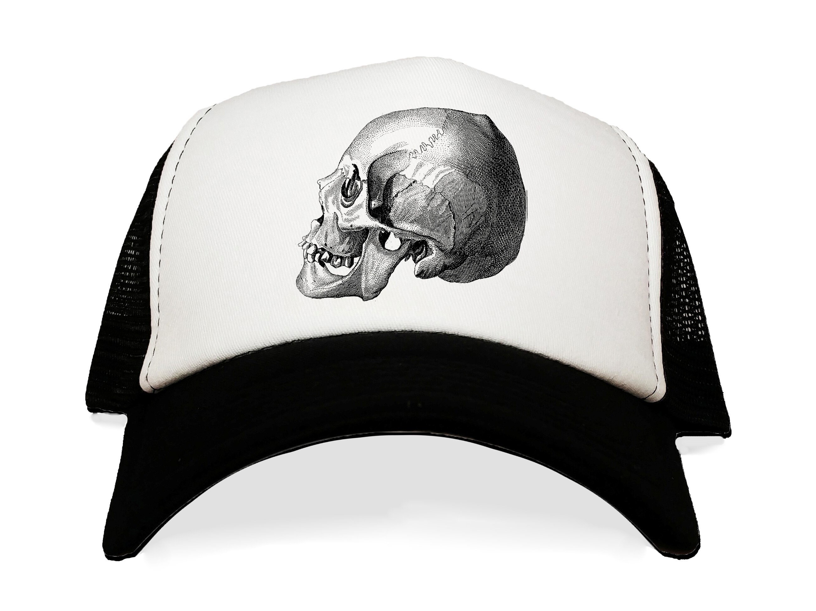 Skull Anatomy Hat. Skeleton Cap. Dia De Los Meurtos Gift. Day of the ...