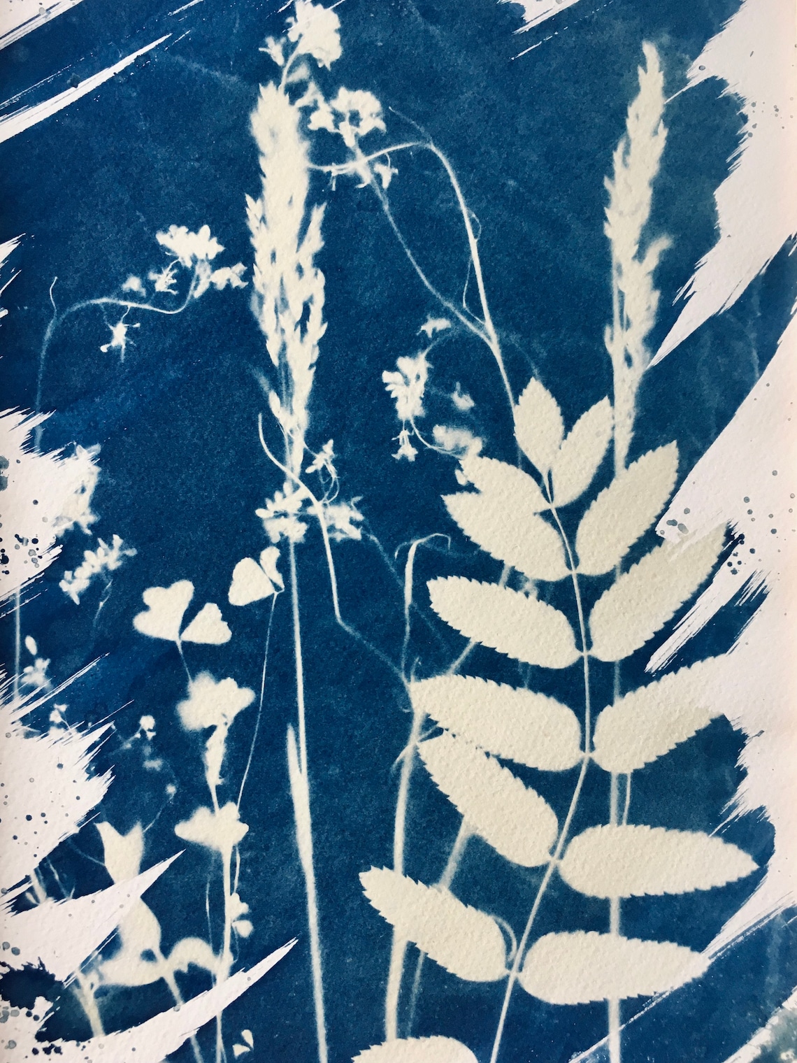 Floral original cyanotype art print. Handmade cyanotype art. | Etsy