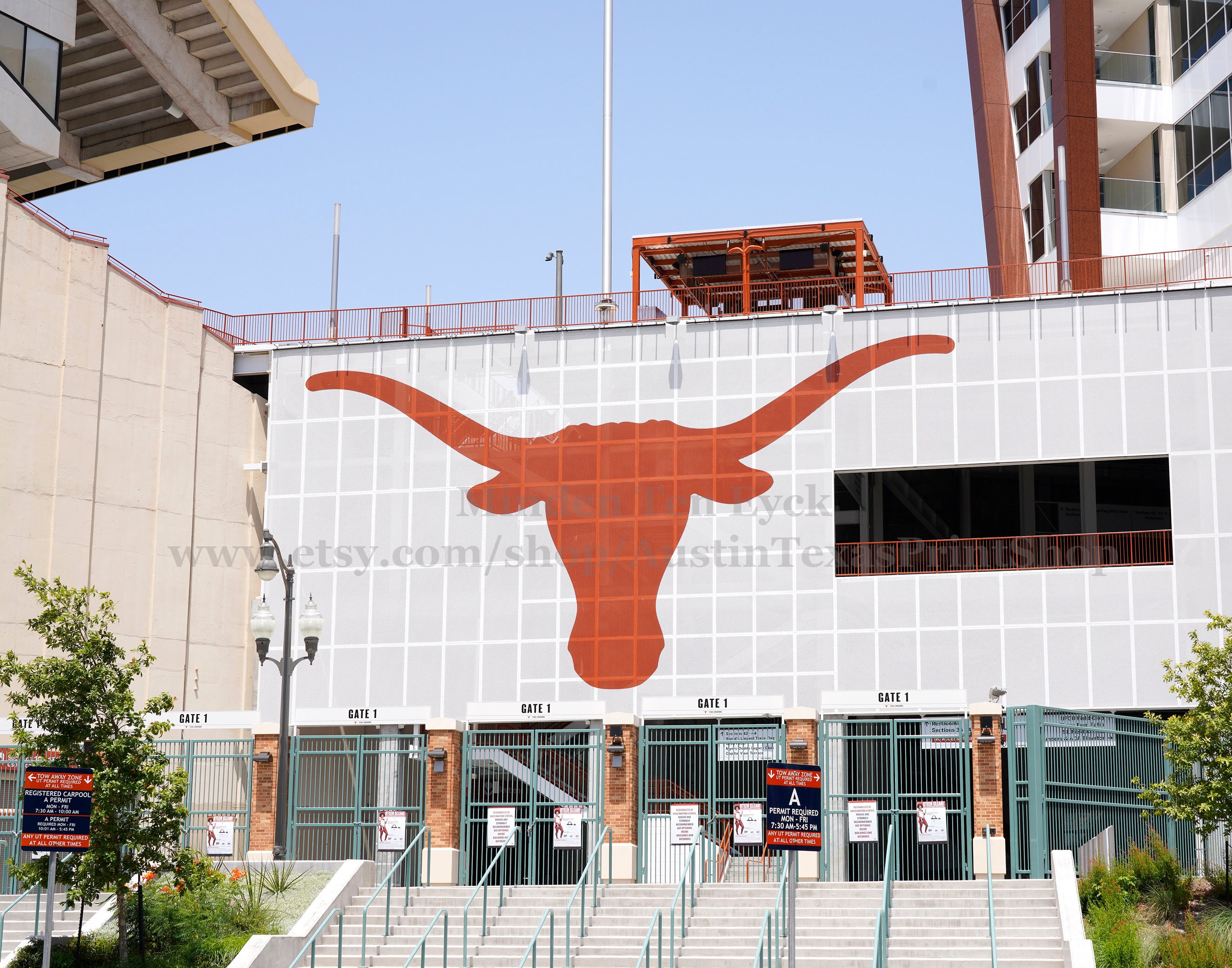 Ut Long Horns